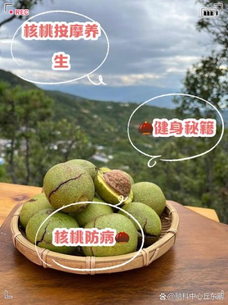 盘核桃有什么好处_盘核桃的功效与作用-第3张图片-山城妙识 盘核桃有什么好处_盘核桃的功效与作用-第3张图片-山城妙识