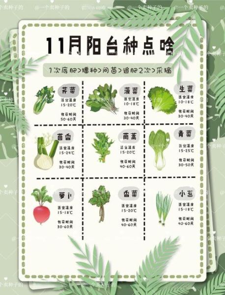 蔬菜种类大全表_哪些蔬菜适合阳台种植-第1张图片-山城妙识 蔬菜种类大全表_哪些蔬菜适合阳台种植-第1张图片-山城妙识