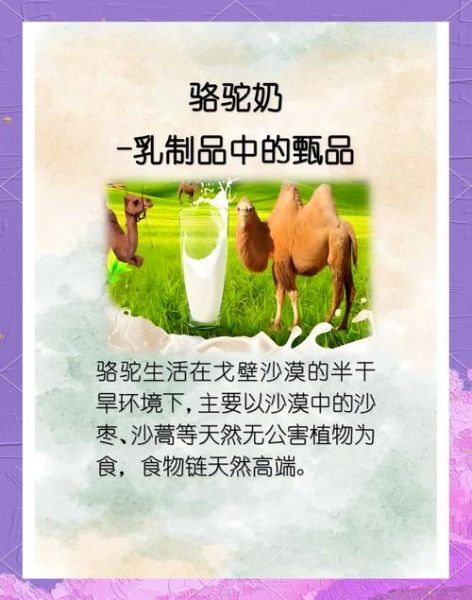 骆驼奶的功效与作用_骆驼奶的禁忌有哪些-第3张图片-山城妙识 骆驼奶的功效与作用_骆驼奶的禁忌有哪些-第3张图片-山城妙识