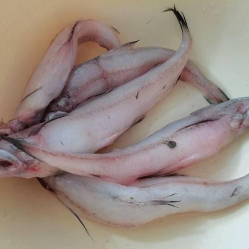 虾孱怎么读_虾孱是什么意思-第1张图片-山城妙识 虾孱怎么读_虾孱是什么意思-第1张图片-山城妙识