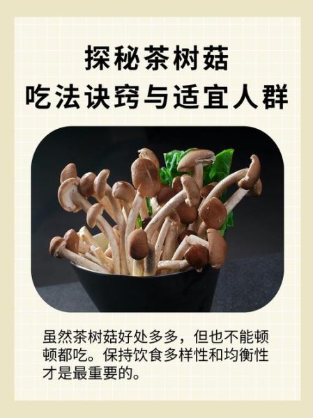 茶树菇一次吃多少合适_吃多了会怎样-第1张图片-山城妙识 茶树菇一次吃多少合适_吃多了会怎样-第1张图片-山城妙识