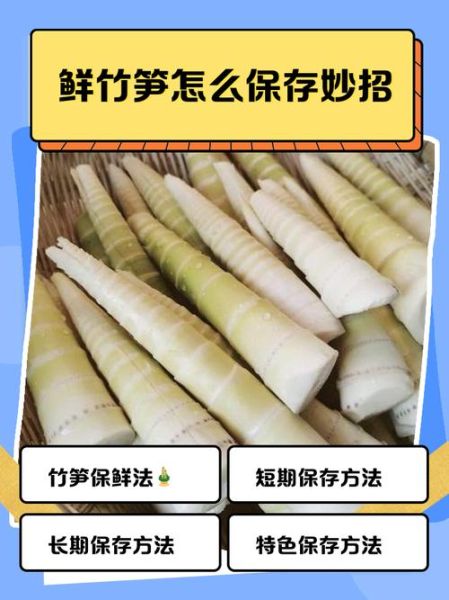 新鲜竹笋怎么保存_新鲜竹笋可以冷冻吗-第2张图片-山城妙识 新鲜竹笋怎么保存_新鲜竹笋可以冷冻吗-第2张图片-山城妙识