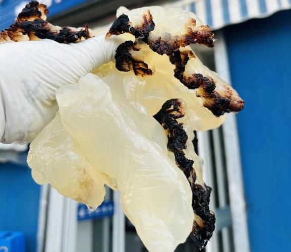 海蜇图片大全_海蜇怎么挑选-第2张图片-山城妙识 海蜇图片大全_海蜇怎么挑选-第2张图片-山城妙识