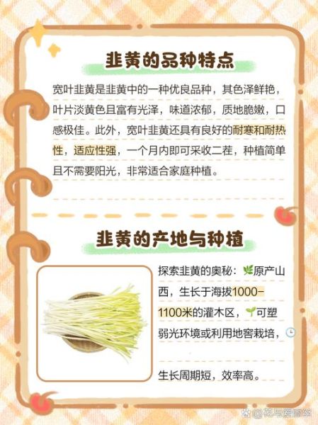 韭黄的功效与作用_韭黄的害处有哪些-第2张图片-山城妙识 韭黄的功效与作用_韭黄的害处有哪些-第2张图片-山城妙识