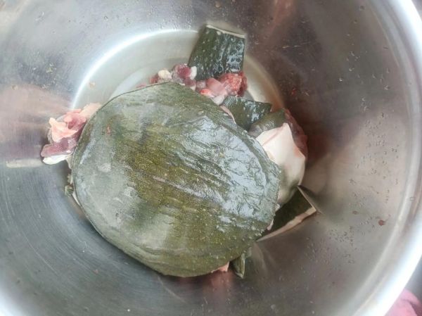 霸王别姬是什么菜_霸王别姬菜名的由来-第3张图片-山城妙识 霸王别姬是什么菜_霸王别姬菜名的由来-第3张图片-山城妙识