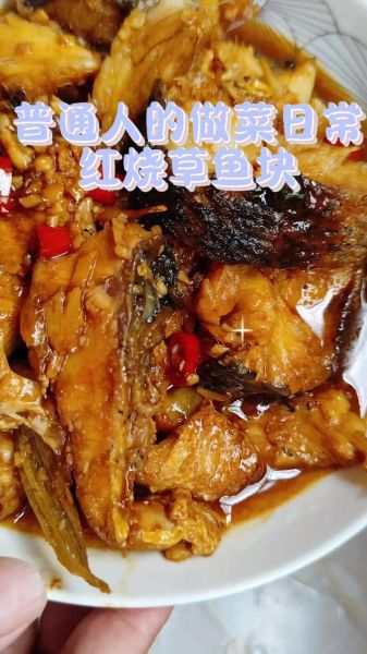 红烧草鱼怎么做_王刚视频教程-第2张图片-山城妙识 红烧草鱼怎么做_王刚视频教程-第2张图片-山城妙识