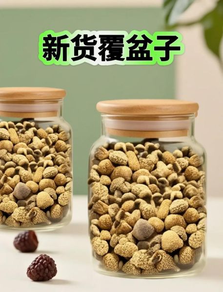 覆盆子酒的做法_自制覆盆子酒常见问题-第1张图片-山城妙识 覆盆子酒的做法_自制覆盆子酒常见问题-第1张图片-山城妙识
