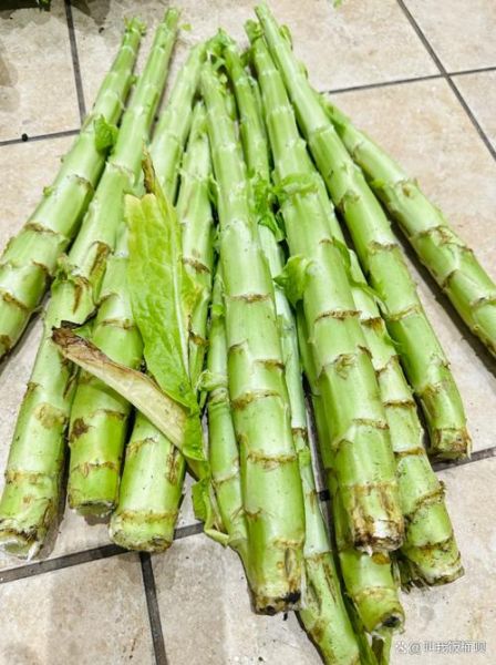 苔菜是莴笋吗_苔菜和莴笋的区别-第1张图片-山城妙识 苔菜是莴笋吗_苔菜和莴笋的区别-第1张图片-山城妙识