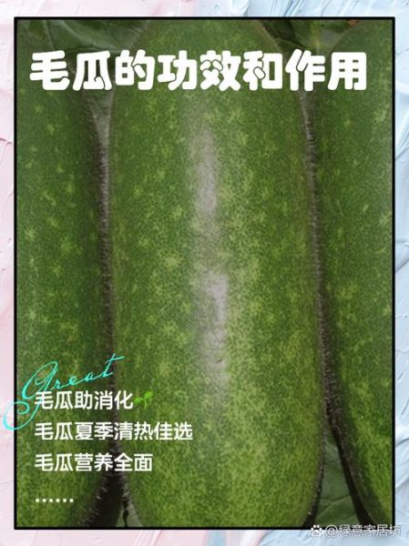 毛瓜怎么做好吃_毛瓜的做法大全家常-第1张图片-山城妙识 毛瓜怎么做好吃_毛瓜的做法大全家常-第1张图片-山城妙识