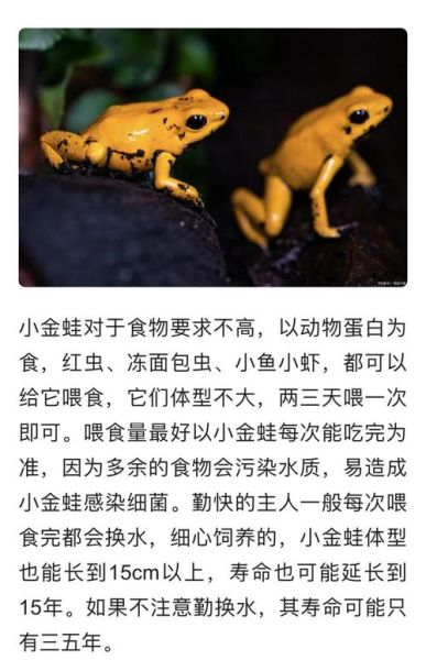 养二亩青蛙真实利润_一年能赚多少钱-第2张图片-山城妙识 养二亩青蛙真实利润_一年能赚多少钱-第2张图片-山城妙识