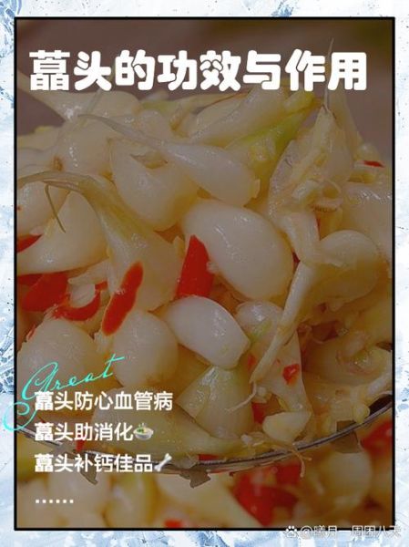 藠头的功效与作用及禁忌_什么人不能吃藠头-第1张图片-山城妙识 藠头的功效与作用及禁忌_什么人不能吃藠头-第1张图片-山城妙识