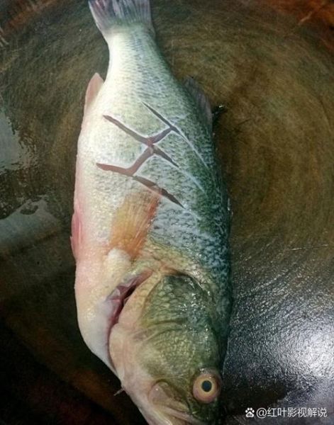 蒸鱼豉油怎么做清蒸鱼_清蒸鱼用蒸鱼豉油还是生抽-第1张图片-山城妙识 蒸鱼豉油怎么做清蒸鱼_清蒸鱼用蒸鱼豉油还是生抽-第1张图片-山城妙识