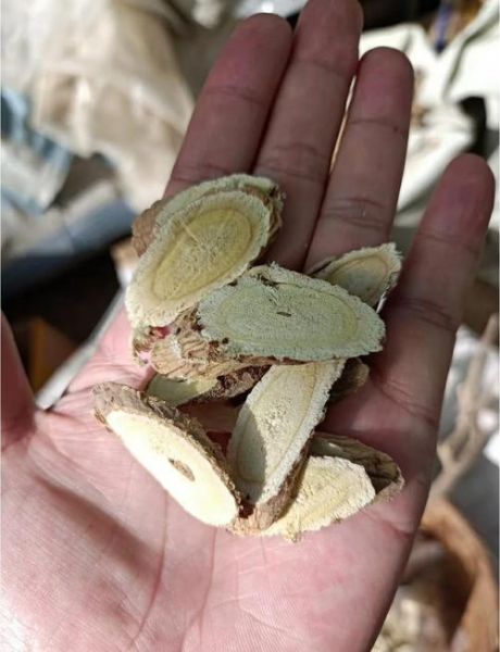 黄芪图片大全高清图片_如何辨别真假黄芪-第3张图片-山城妙识