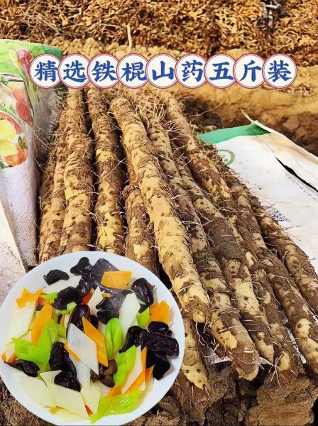 铁山药怎么做好吃_铁山药的做法大全-第2张图片-山城妙识 铁山药怎么做好吃_铁山药的做法大全-第2张图片-山城妙识