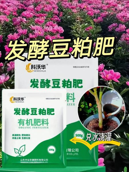 豆渣发酵有机肥怎么做_豆渣沤肥多久能用-第1张图片-山城妙识 豆渣发酵有机肥怎么做_豆渣沤肥多久能用-第1张图片-山城妙识