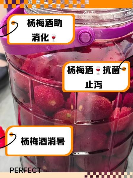 野生杨梅酒的功效与作用_野生杨梅酒能天天喝吗-第1张图片-山城妙识 野生杨梅酒的功效与作用_野生杨梅酒能天天喝吗-第1张图片-山城妙识