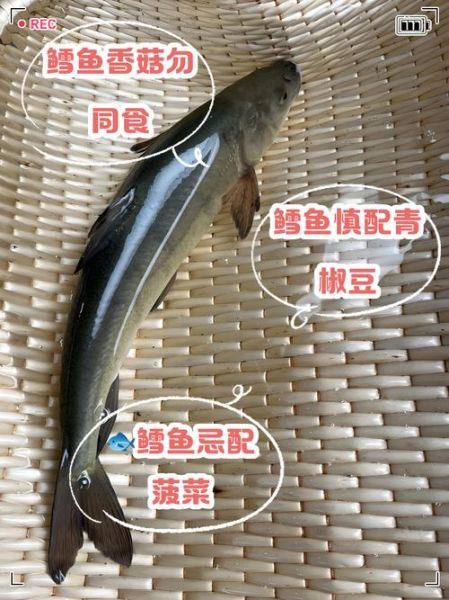 鳕鱼不能和什么一起吃_鳕鱼相克食物有哪些-第3张图片-山城妙识