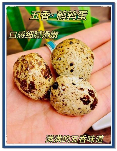 鹌鹑蛋一天吃几个合适_鹌鹑蛋的功效与作用-第2张图片-山城妙识 鹌鹑蛋一天吃几个合适_鹌鹑蛋的功效与作用-第2张图片-山城妙识