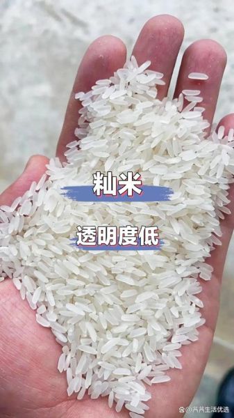 粳米和大米有什么区别_粳米是不是大米-第3张图片-山城妙识 粳米和大米有什么区别_粳米是不是大米-第3张图片-山城妙识