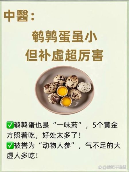 鹌鹑蛋一天吃几个合适_鹌鹑蛋的功效与作用-第1张图片-山城妙识 鹌鹑蛋一天吃几个合适_鹌鹑蛋的功效与作用-第1张图片-山城妙识