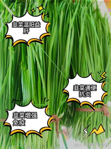 韭菜的功效与作用_韭菜有什么功效与作用-第3张图片-山城妙识