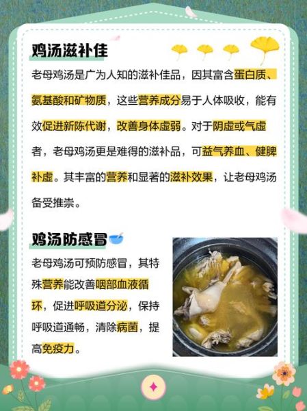 老母鸡汤的功效_适合哪些人喝-第1张图片-山城妙识 老母鸡汤的功效_适合哪些人喝-第1张图片-山城妙识