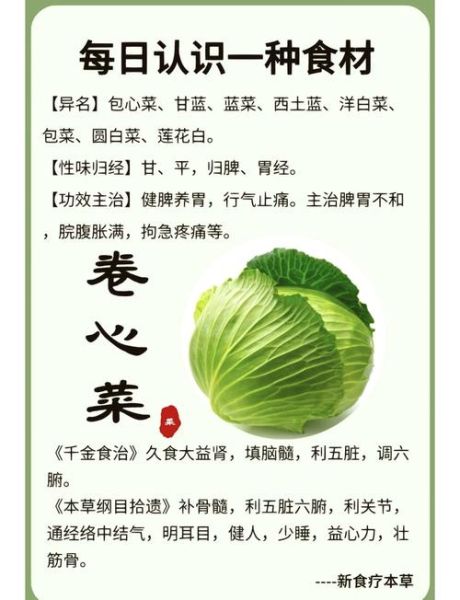 蔬菜汤包有营养吗_蔬菜汤包热量高吗-第1张图片-山城妙识 蔬菜汤包有营养吗_蔬菜汤包热量高吗-第1张图片-山城妙识