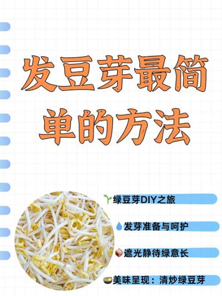 绿豆芽怎么生_家庭绿豆芽发芽技巧-第1张图片-山城妙识 绿豆芽怎么生_家庭绿豆芽发芽技巧-第1张图片-山城妙识
