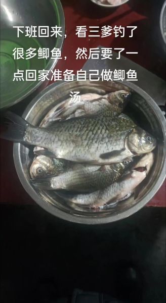 鲫鱼怎么炖出白汤_鲫鱼汤为什么不白-第1张图片-山城妙识 鲫鱼怎么炖出白汤_鲫鱼汤为什么不白-第1张图片-山城妙识