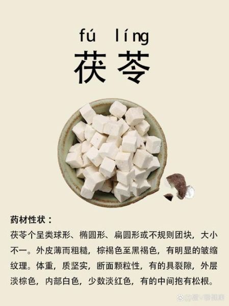 茯苓怎么读_茯苓的功效与作用-第1张图片-山城妙识 茯苓怎么读_茯苓的功效与作用-第1张图片-山城妙识