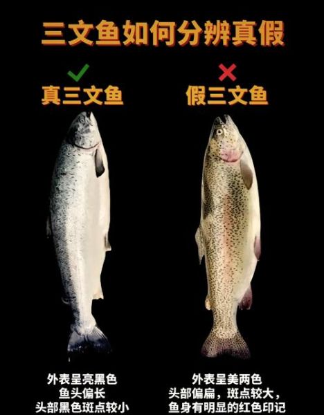 红鲑鱼和三文鱼的区别_红鲑鱼营养价值高吗-第2张图片-山城妙识 红鲑鱼和三文鱼的区别_红鲑鱼营养价值高吗-第2张图片-山城妙识