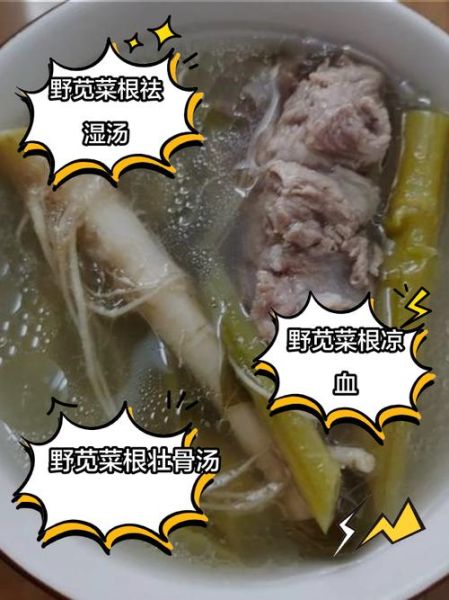 苋菜梗怎么做好吃_苋菜梗的功效与作用-第1张图片-山城妙识 苋菜梗怎么做好吃_苋菜梗的功效与作用-第1张图片-山城妙识