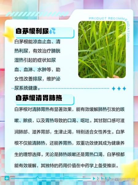 茅根水的功效与作用_茅根水适合什么人喝-第1张图片-山城妙识 茅根水的功效与作用_茅根水适合什么人喝-第1张图片-山城妙识