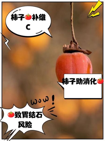 吃柿子有什么坏处_空腹吃柿子会结石吗-第1张图片-山城妙识 吃柿子有什么坏处_空腹吃柿子会结石吗-第1张图片-山城妙识