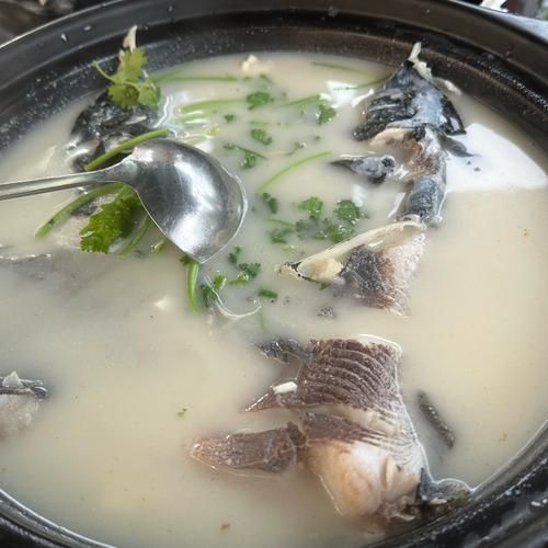 鱼头汤怎么熬才白_鱼头汤用什么鱼最好-第3张图片-山城妙识 鱼头汤怎么熬才白_鱼头汤用什么鱼最好-第3张图片-山城妙识
