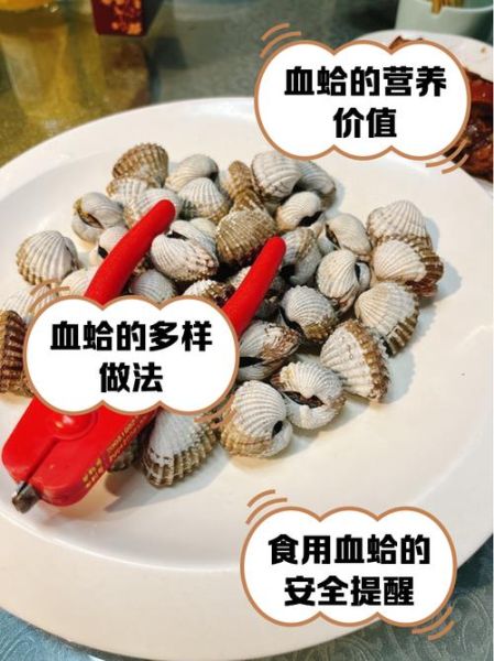 血蛤怎么清洗_血蛤蒸多久才熟-第1张图片-山城妙识