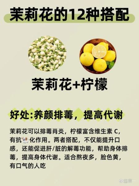 茉莉花茶的功效与作用_喝茉莉花茶有什么好处-第1张图片-山城妙识