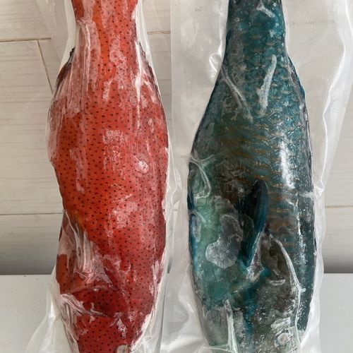 青衣鱼多少钱一斤_青衣鱼价格走势-第1张图片-山城妙识 青衣鱼多少钱一斤_青衣鱼价格走势-第1张图片-山城妙识