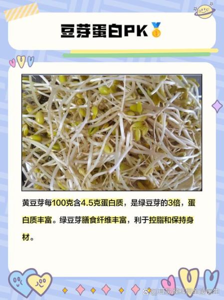 黄豆芽和绿豆芽的区别_哪个更有营养-第3张图片-山城妙识
