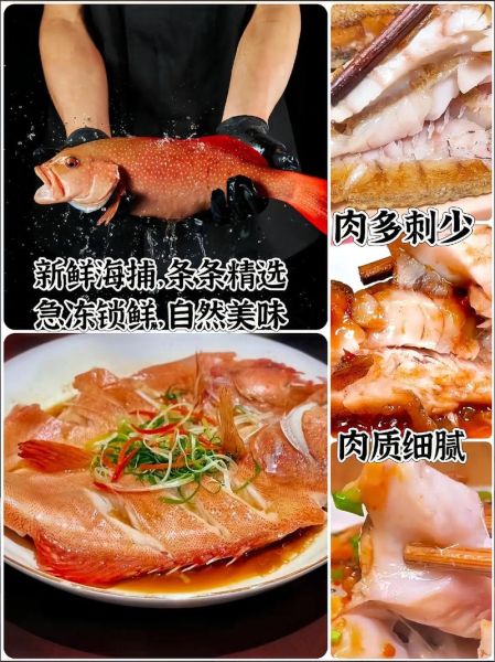 海红斑多少钱一斤_海红斑价格行情-第3张图片-山城妙识