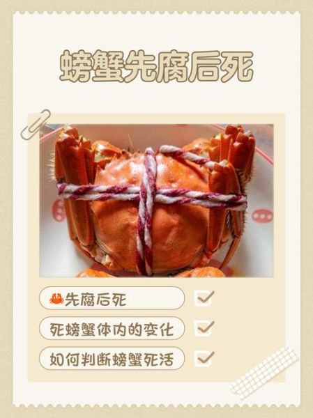 当天死的大闸蟹能吃吗_大闸蟹死了多久不能吃-第2张图片-山城妙识 当天死的大闸蟹能吃吗_大闸蟹死了多久不能吃-第2张图片-山城妙识