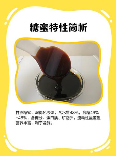 蜜糖怎么保存不变质_蜜糖的功效与作用-第2张图片-山城妙识 蜜糖怎么保存不变质_蜜糖的功效与作用-第2张图片-山城妙识