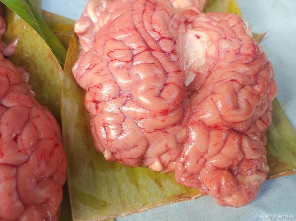 脑花怎么清洗去腥_脑花煮多久才熟-第3张图片-山城妙识 脑花怎么清洗去腥_脑花煮多久才熟-第3张图片-山城妙识