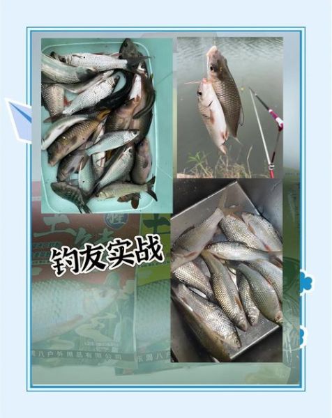 鲮鱼钓法_用什么饵料最有效-第3张图片-山城妙识 鲮鱼钓法_用什么饵料最有效-第3张图片-山城妙识