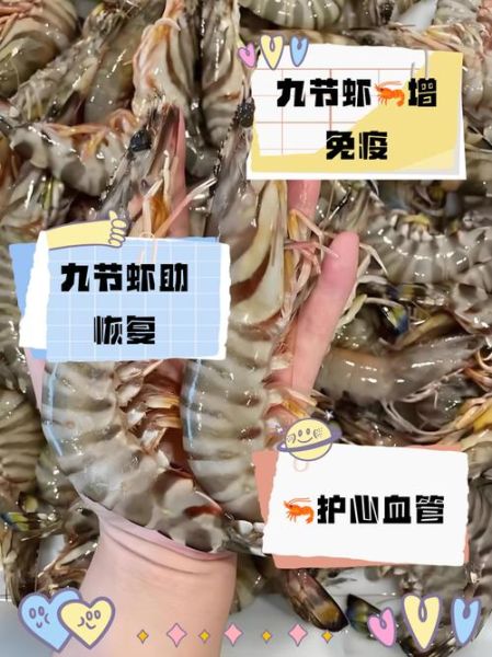 九节虾多少钱一斤_九节虾价格受哪些因素影响-第2张图片-山城妙识
