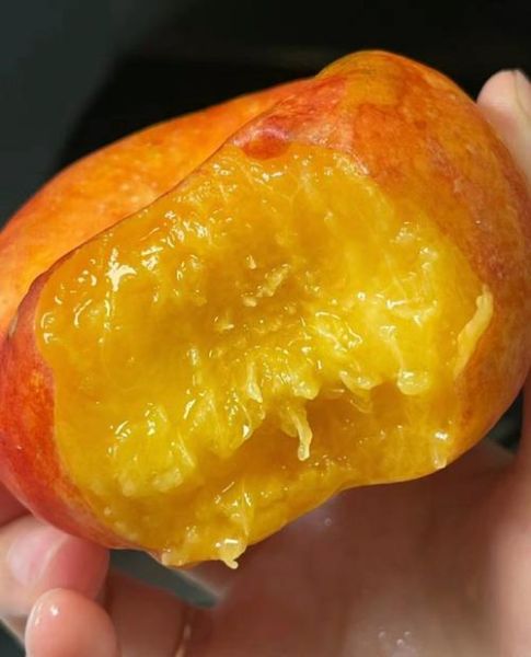 蟠桃怎么吃_蟠桃的正确吃法-第1张图片-山城妙识 蟠桃怎么吃_蟠桃的正确吃法-第1张图片-山城妙识