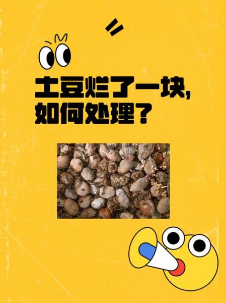 ptapp app土豆怎么用_ptapp app土豆安全吗-第1张图片-山城妙识 ptapp app土豆怎么用_ptapp app土豆安全吗-第1张图片-山城妙识