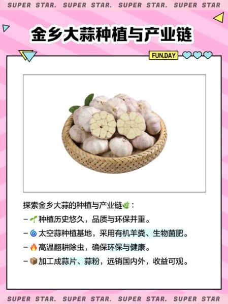 金乡大蒜价格今日行情_金乡大蒜多少钱一斤-第1张图片-山城妙识