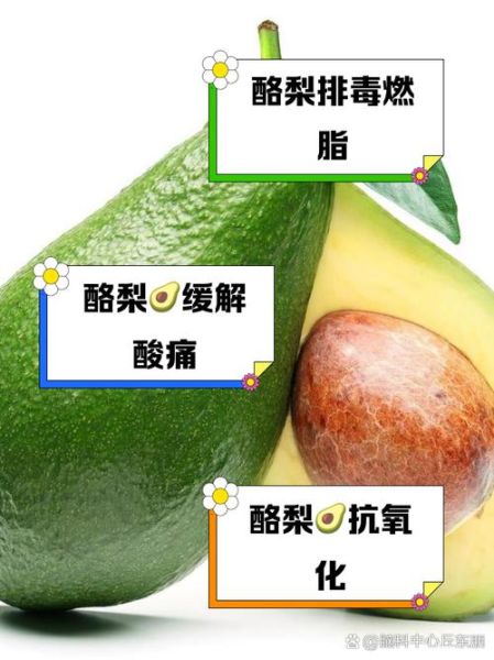 酪梨油的功效与作用_酪梨油怎么吃最好-第1张图片-山城妙识 酪梨油的功效与作用_酪梨油怎么吃最好-第1张图片-山城妙识