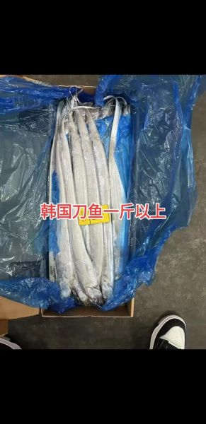 河刀鱼多少钱一斤_河刀鱼价格为什么这么贵-第3张图片-山城妙识 河刀鱼多少钱一斤_河刀鱼价格为什么这么贵-第3张图片-山城妙识